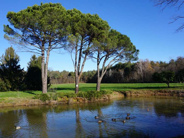 Top 15 Hikes and Walks around Parco naturale della Pineta di Appiano ...