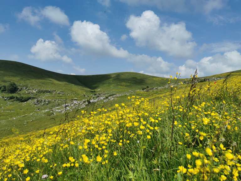 Top 20 Hikes and Walks around Parco naturale regionale della Lessinia ...