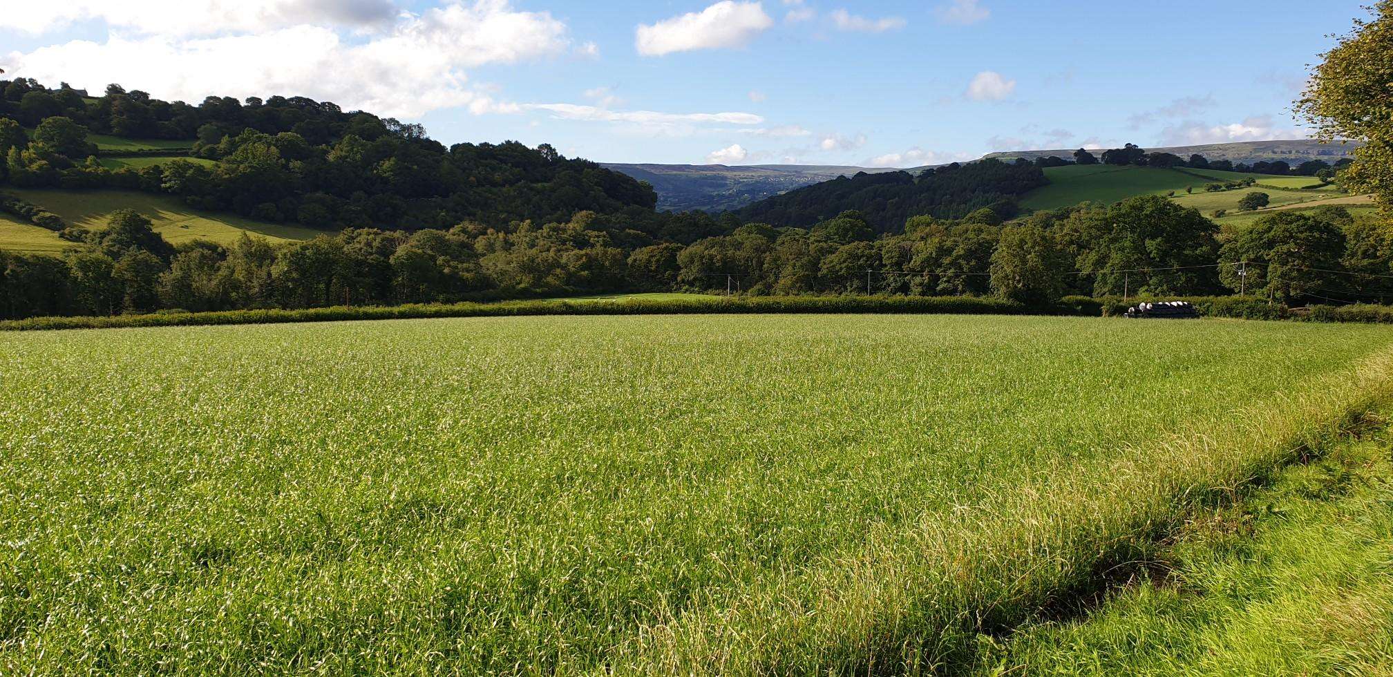 Los mejores sitios que ver en Brecon Beacons - Top 20 | Komoot