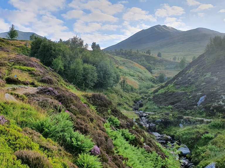 Top 20 Hikes and Walks in Loch Rannoch And Glen Lyon | Komoot