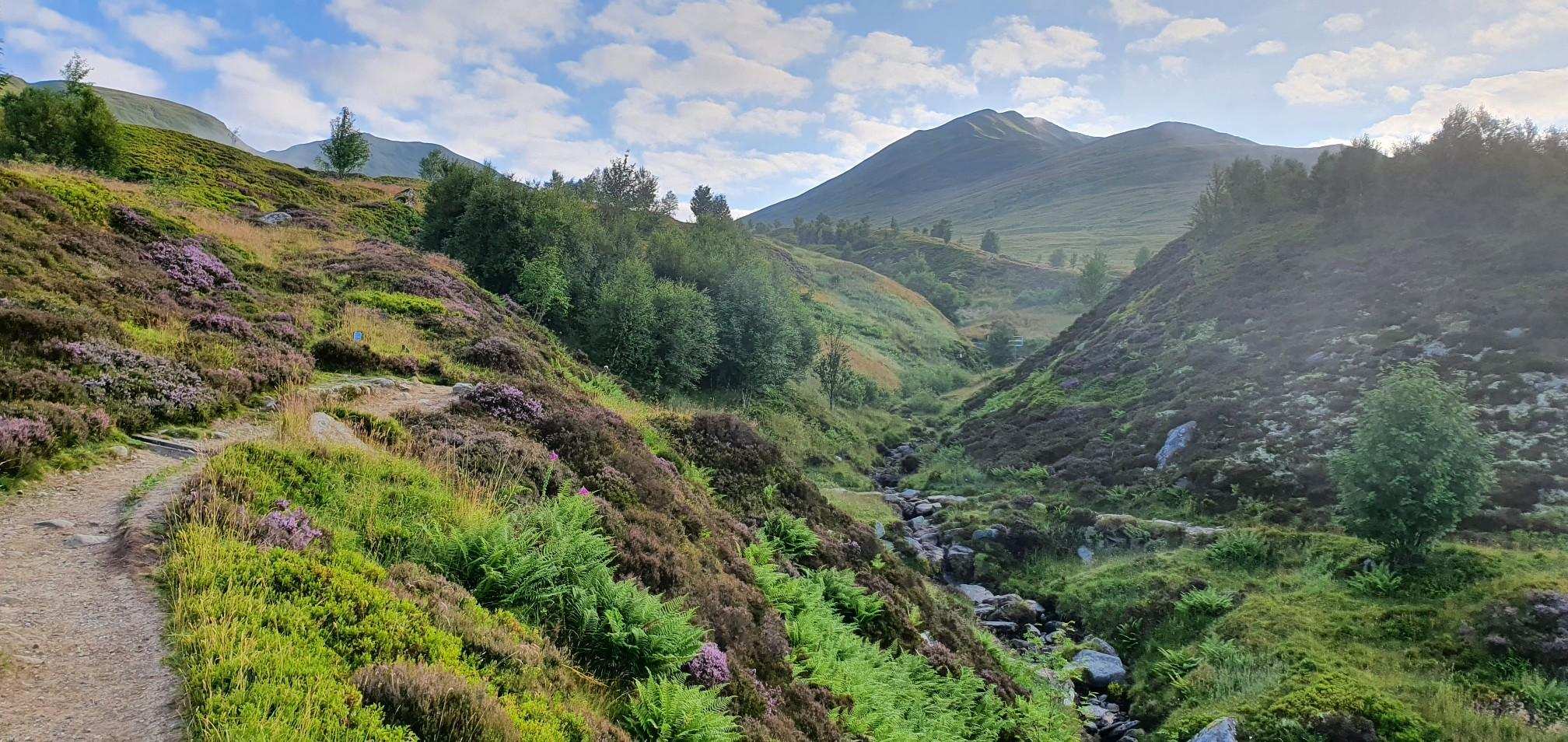 Top 20 Hikes and Walks in Loch Rannoch And Glen Lyon | Komoot