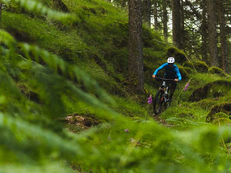 Die 10 schönsten Mountainbike-Touren rund um River Tay | Komoot
