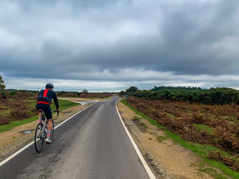 Top 20 Most Beautiful Road Biking Routes in New Forest National Park ...