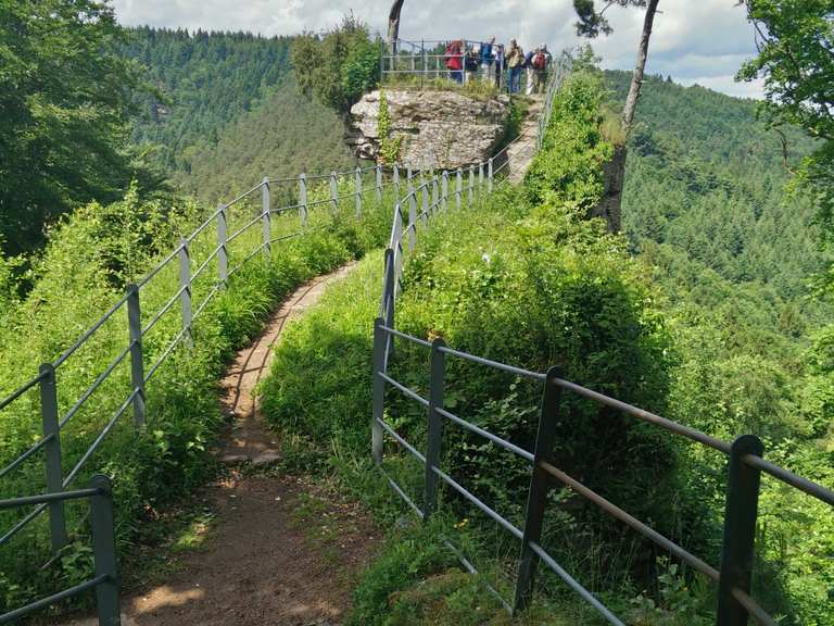 Die 10 schönsten Wanderungen rund um Schweigen Rechtenbach | Komoot