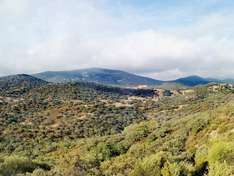 The best walks and hikes in Sierra Norte De Sevilla | Komoot