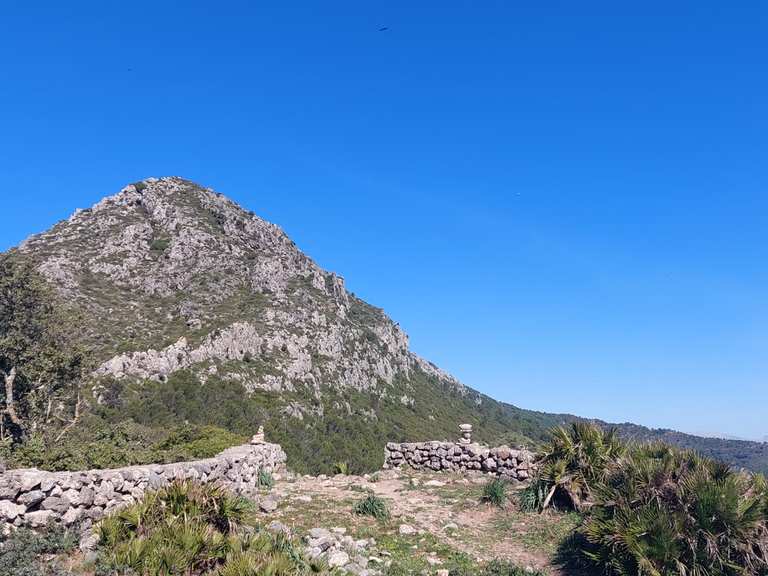 Top 10 Hikes and Walks in Sierra Crestellina | Komoot