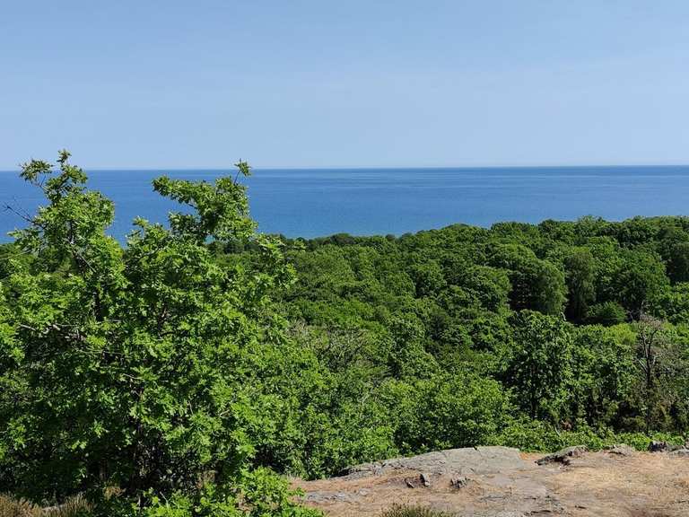 7 trilhas de Mountain Bike imperdíveis em Stenshuvuds nationalpark | komoot