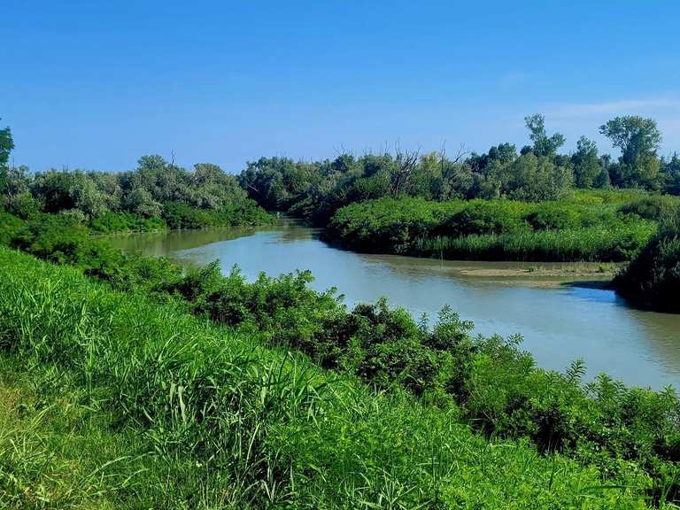Le 10 escursioni e trekking migliori del Delta del Po | komoot