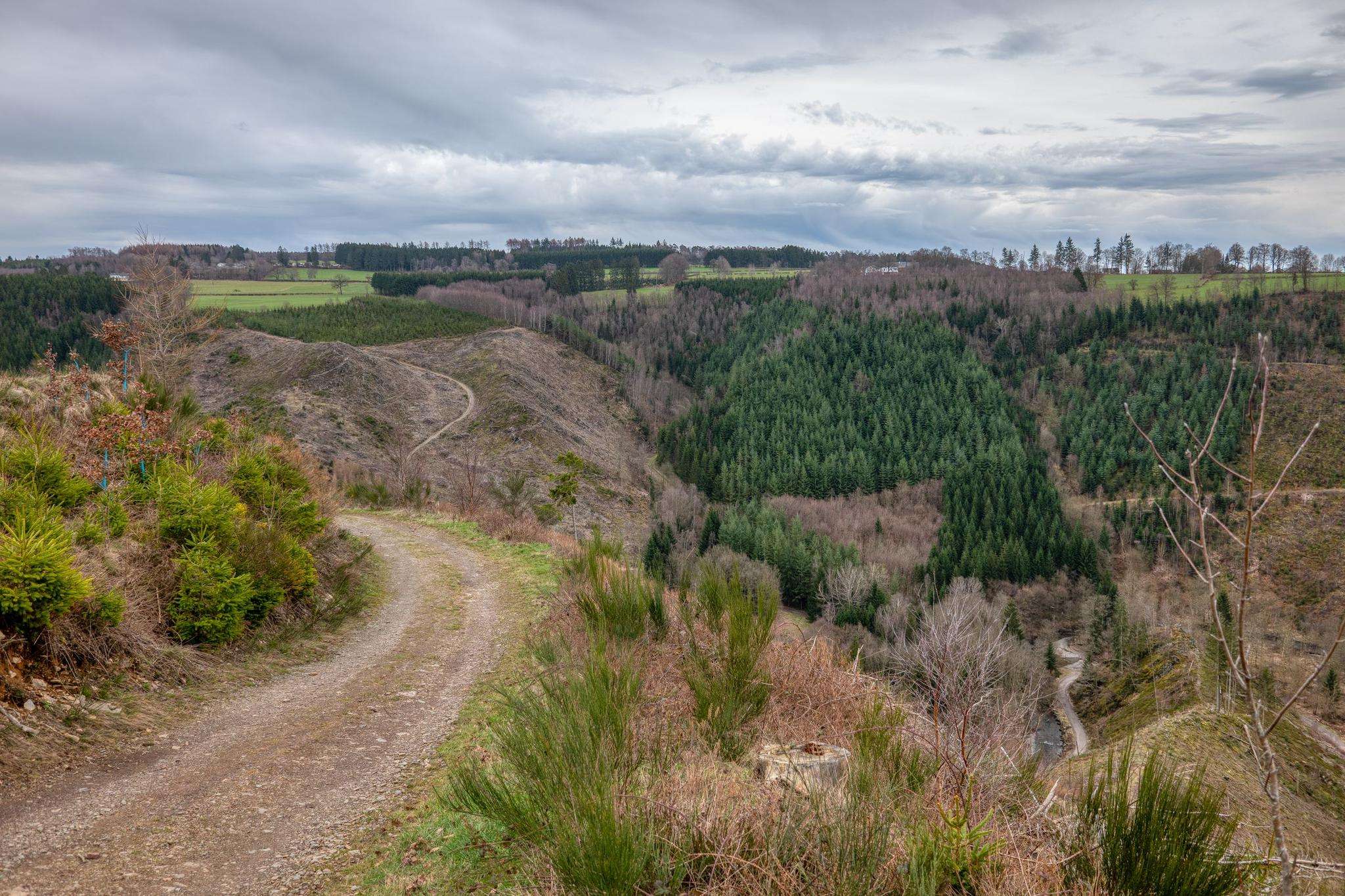 De 10 mooiste wandelroutes in de buurt van Natuurpark Hoge Venen-Eifel ...