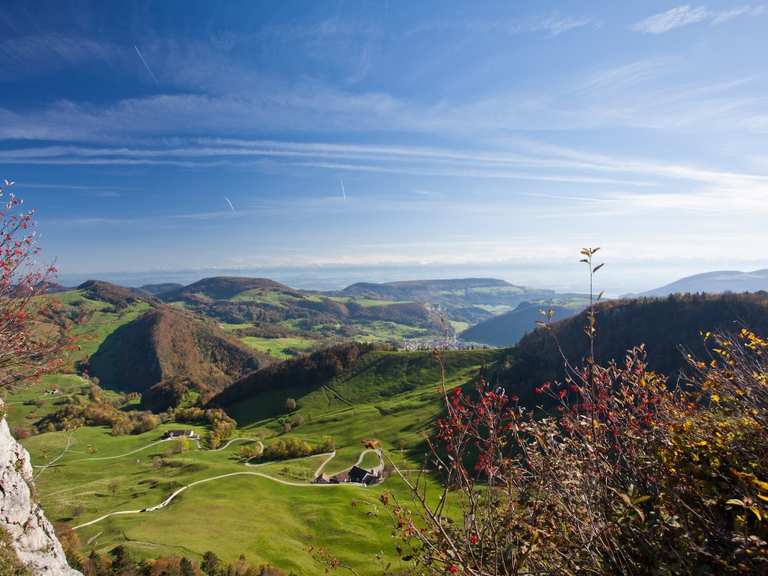 Top 10 Hikes and Walks around Basel Stadt | Komoot