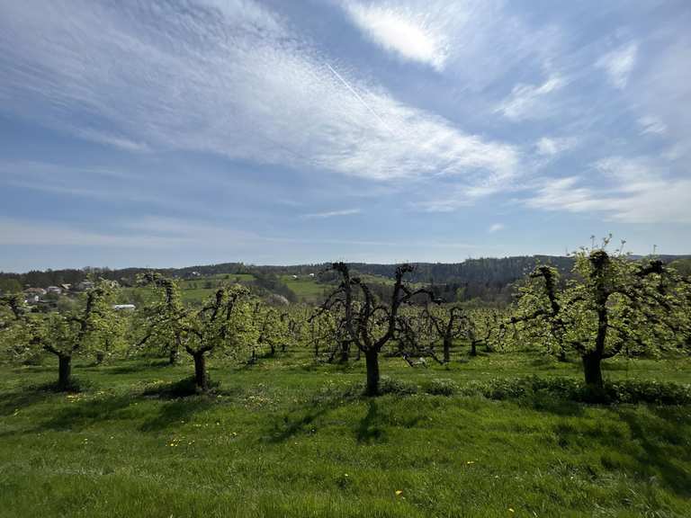 Die schönsten Wanderungen rund um Raaba-Grambach | Komoot