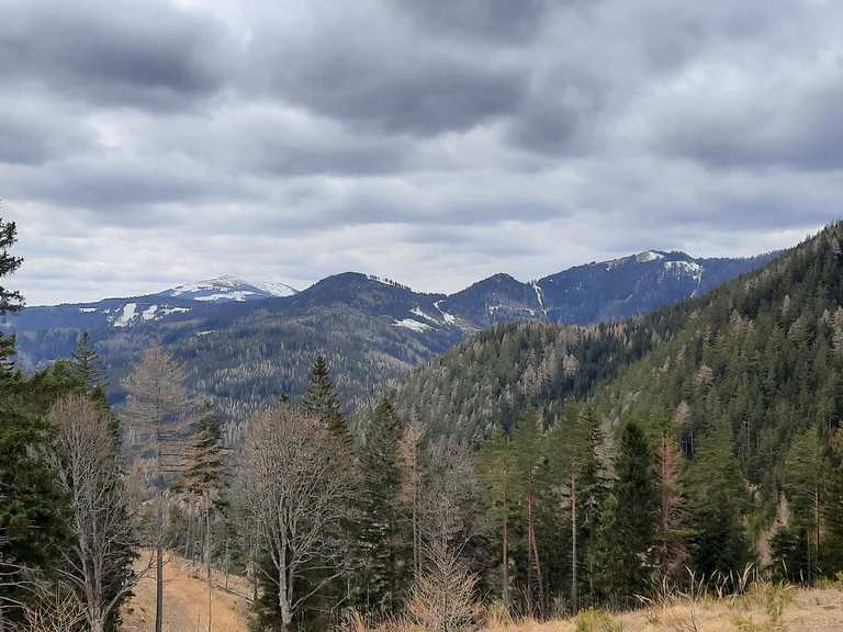 Die 10 schönsten Wanderungen rund um Raach am Hochgebirge | Komoot