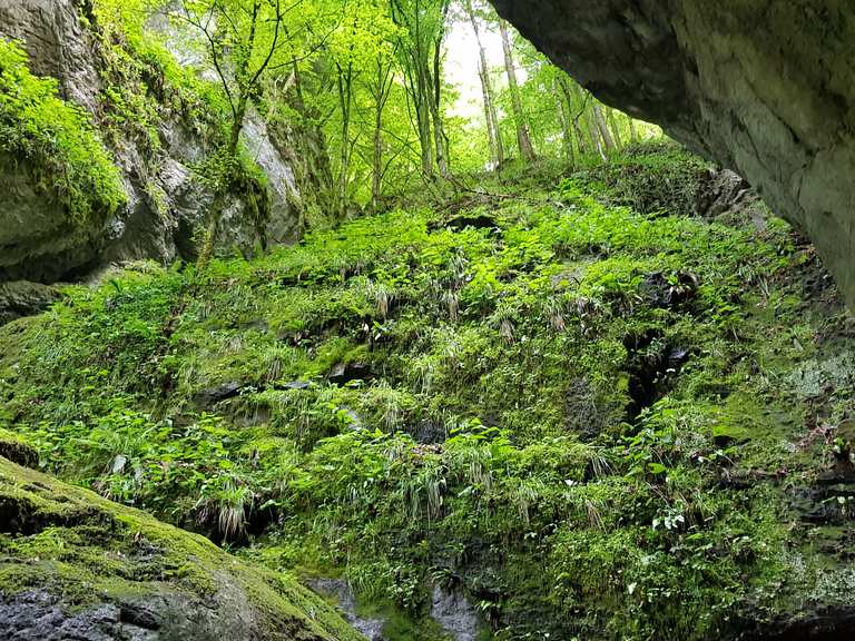 Die 10 schönsten Wanderungen rund um Reute | Komoot