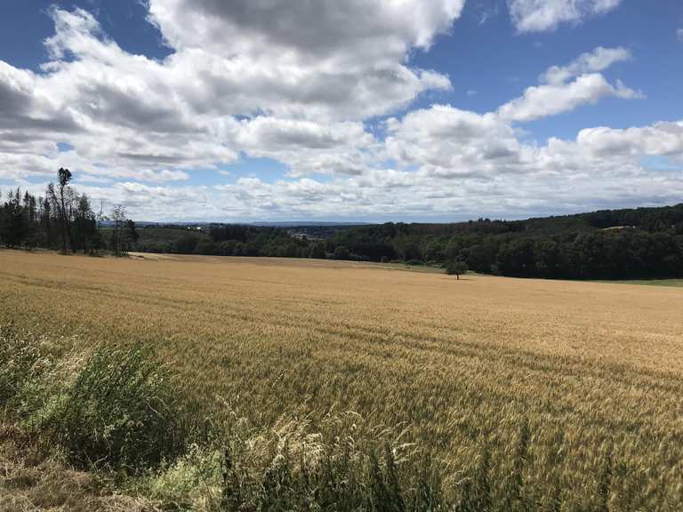 Die 10 schönsten Wanderungen rund um Rettert | Komoot