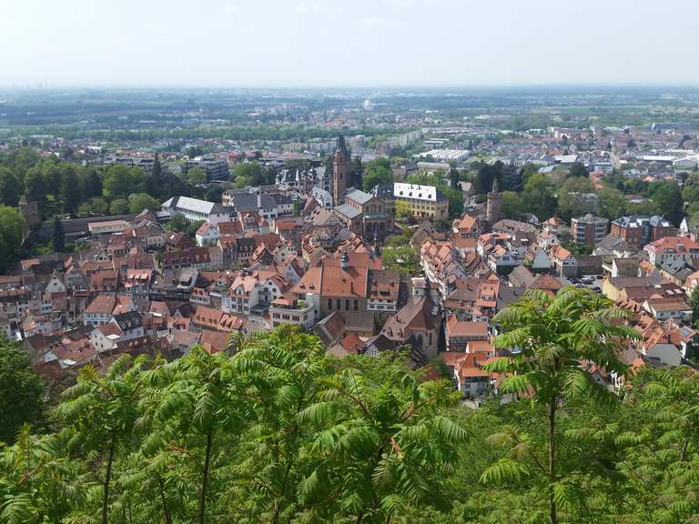 Die 10 schönsten Fahrradtouren in Rhein-Neckar-Kreis | Komoot