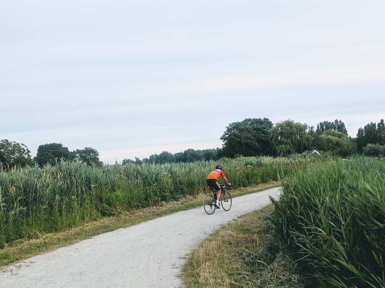Top 10 itinéraires et circuits à vélo de course dans le Delta du Rhin ...