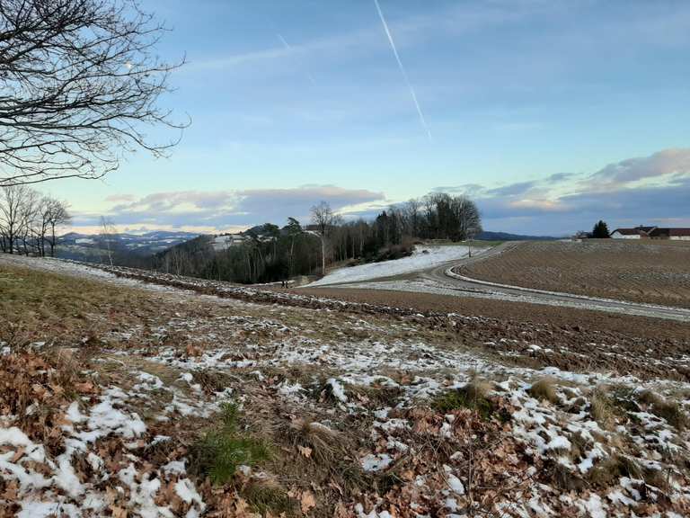 Die 10 schönsten Wanderungen rund um Ried in der Riedmark | Komoot