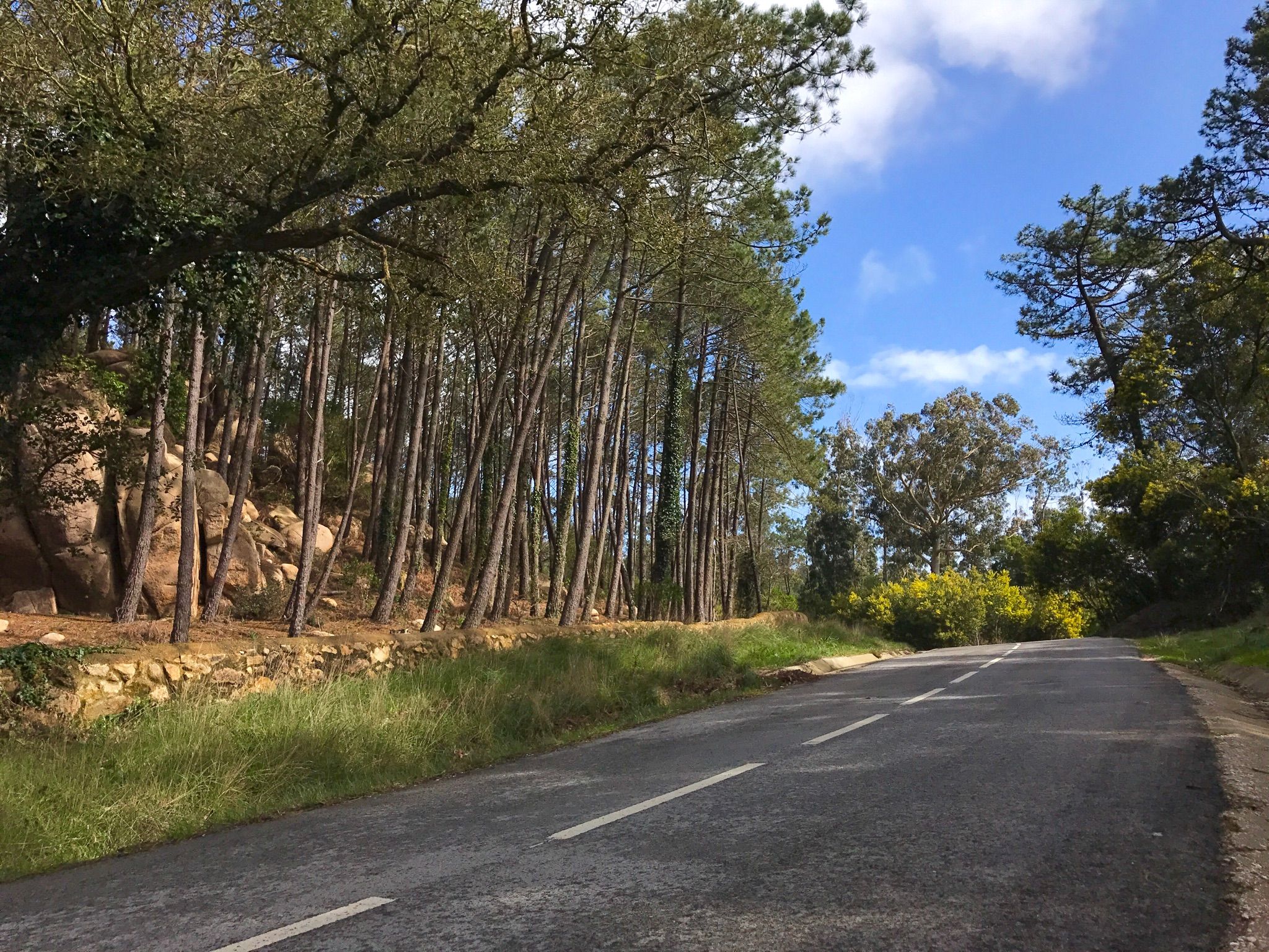 Top 10 Most Beautiful Road Biking Routes in Portugal | Komoot