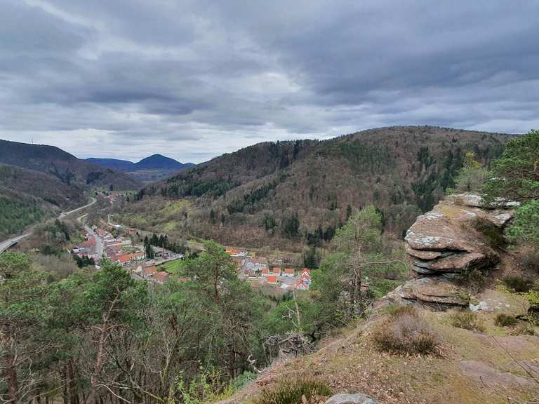 Die 10 schönsten Wanderungen rund um Rinnthal | Komoot