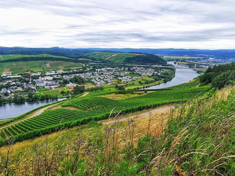 Die 10 schönsten Wanderungen rund um Riol | Komoot