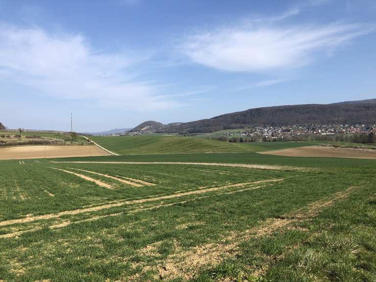 Die schönsten Wanderungen rund um Rodersdorf | Komoot