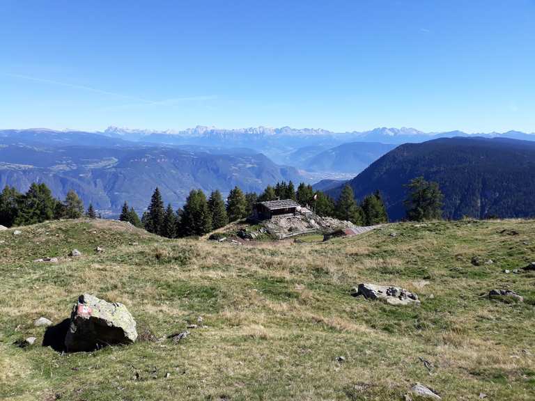 Die 9 schönsten Wanderungen rund um Castelfondo | Komoot