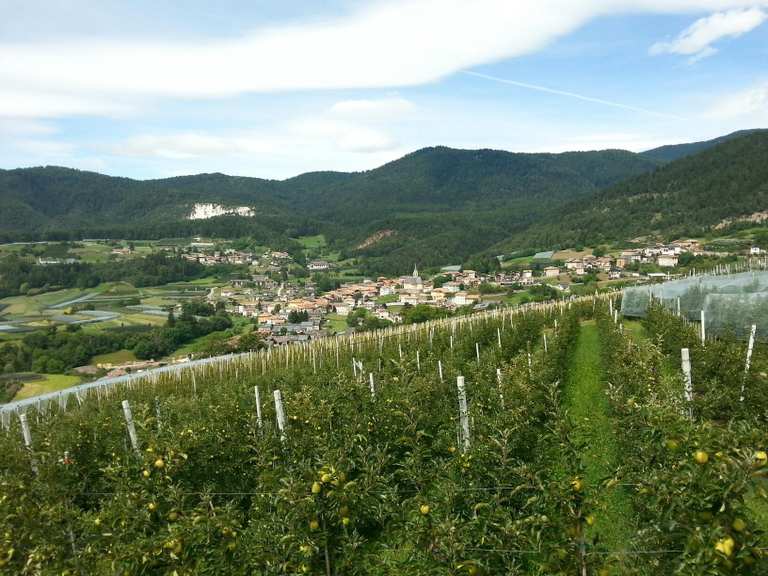 Die 10 schönsten Fahrradtouren rund um Castelfondo | Komoot