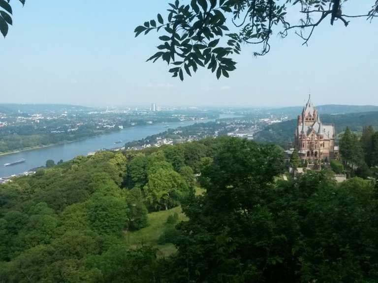 Die schönsten Wanderungen rund um Unkel | Komoot