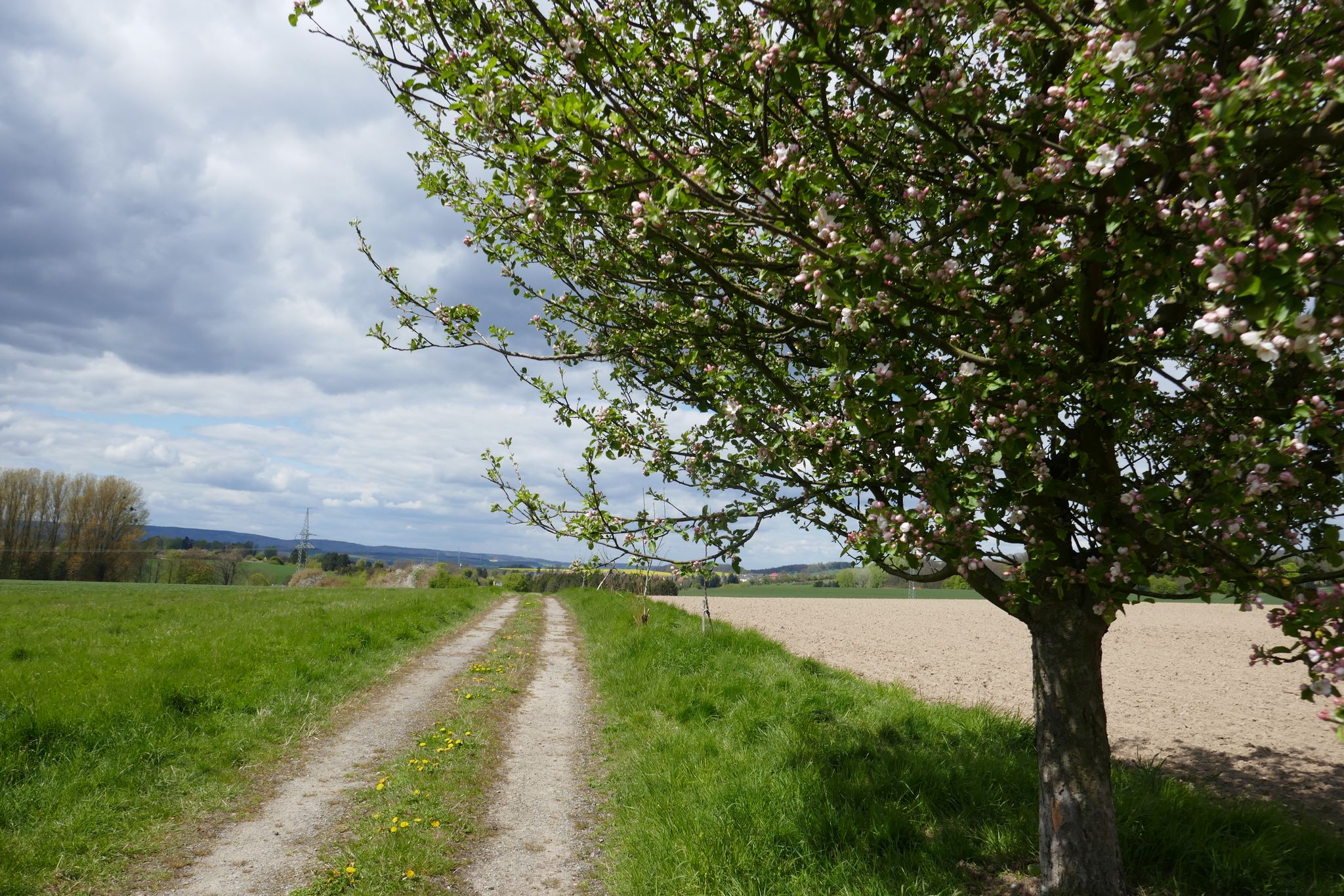 Die 5 schönsten Wanderungen rund um Springe | Komoot