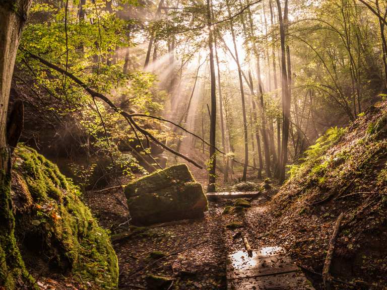 Top 20 Hikes and Walks around Spalt | Komoot