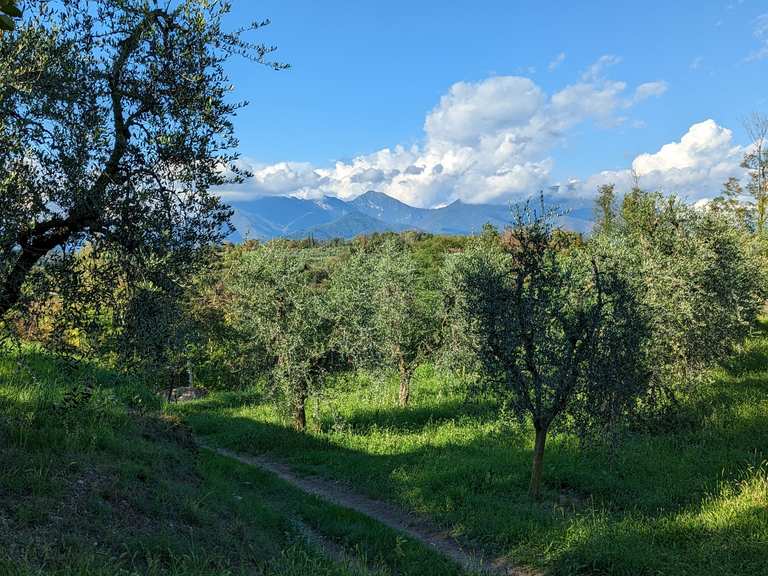Die 8 schönsten Wanderungen rund um Muscoline | Komoot