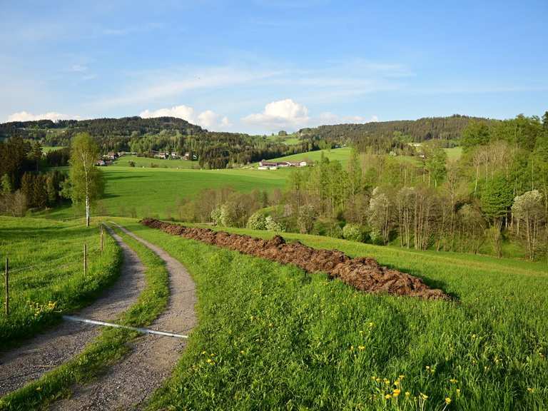 Top 10 randonnées et balades autour de Sankt Johann am Wimberg | Komoot
