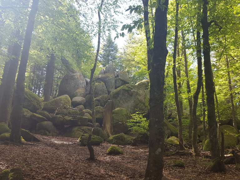 Die 10 schönsten Mountainbike-Touren rund um Simonswald | Komoot