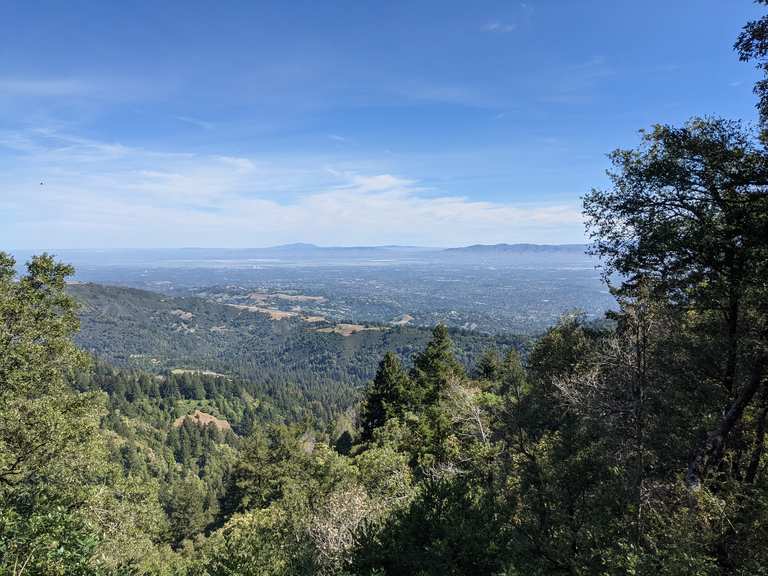 Top 10 Most Beautiful MTB Trails in the Santa Cruz Mountains | Komoot