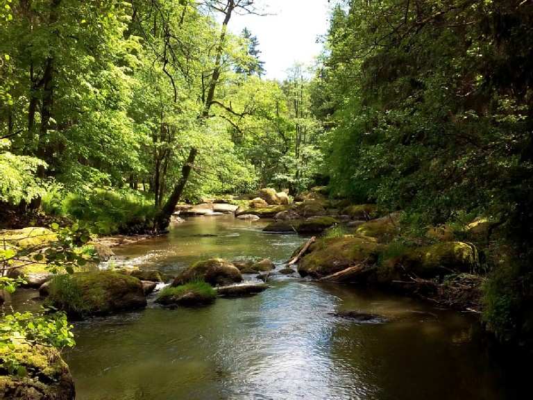 41 Johannisthal Windischeschenbach Wandern | Williandamanik