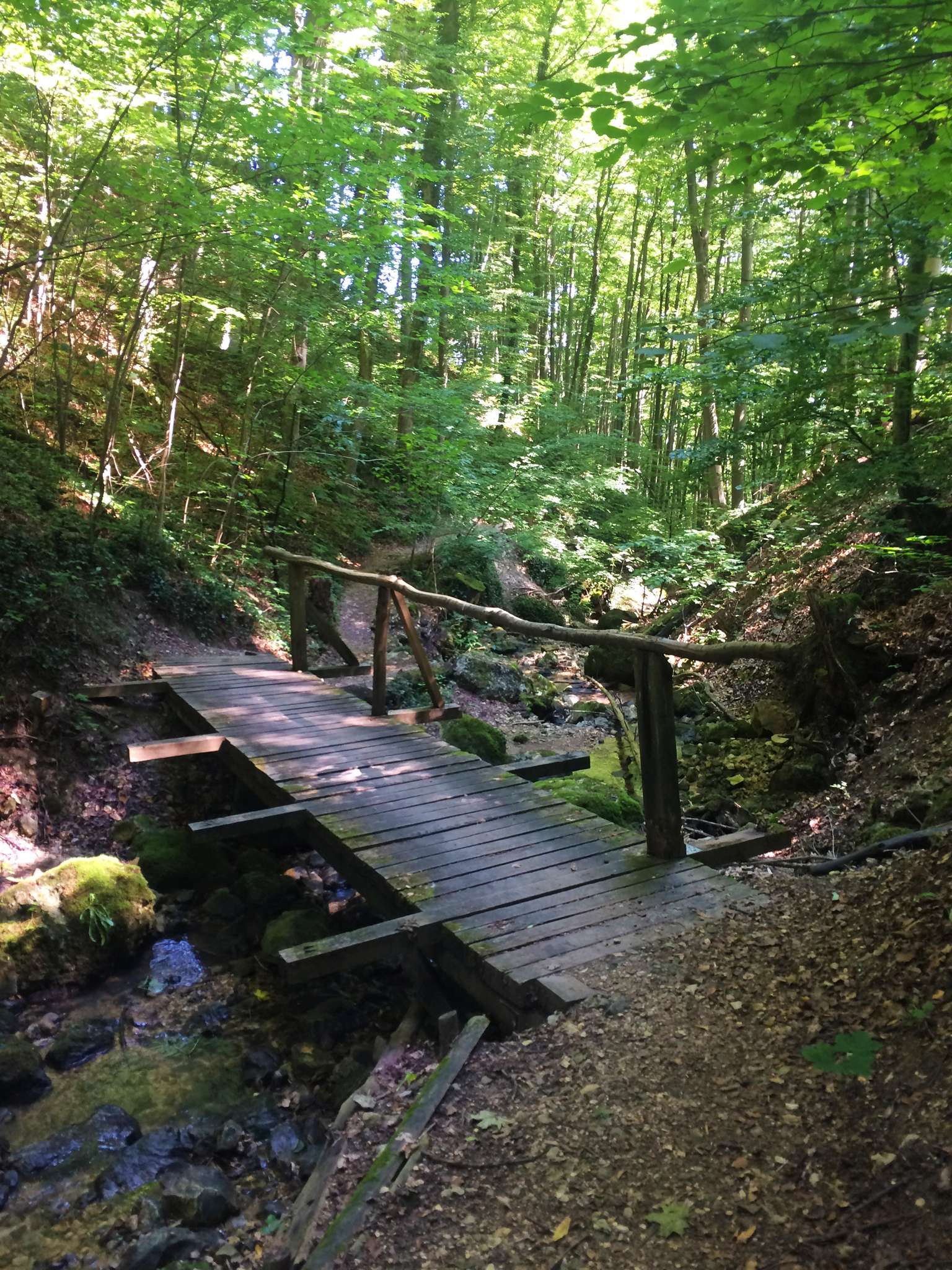Die 10 schönsten Wanderungen rund um Wiesensteig | Komoot