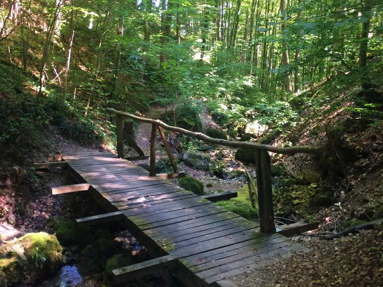 Die 10 schönsten Wanderungen rund um Wiesensteig | Komoot
