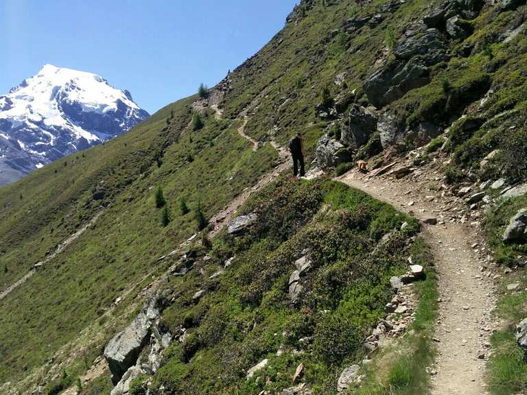 Top 10 Hikes and Walks around Bormio | Komoot