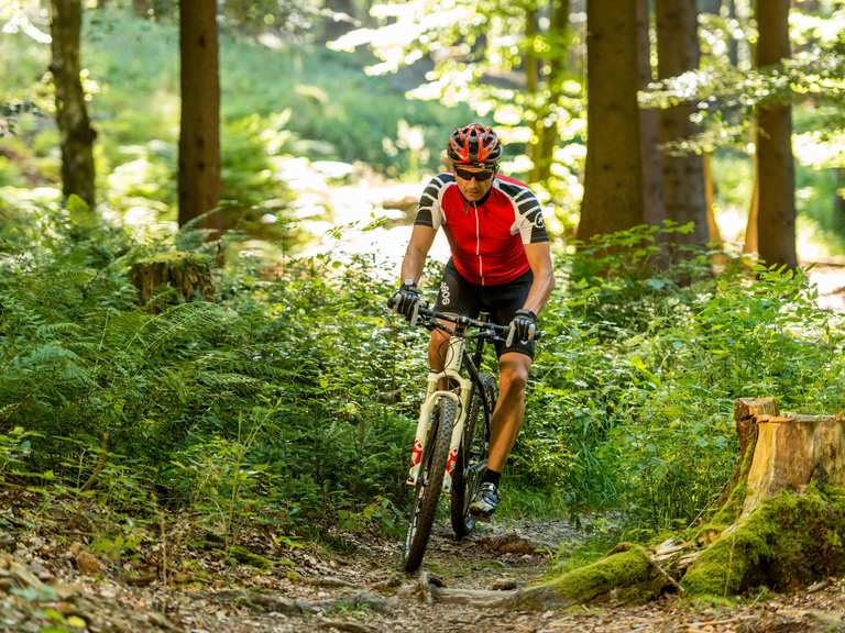 Top 10 Most Beautiful MTB Trails in Rhineland-Palatinate | Komoot