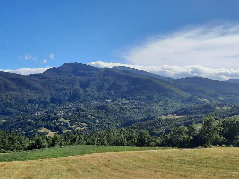 Die 10 schönsten Wanderungen rund um Lizzano In Belvedere | Komoot