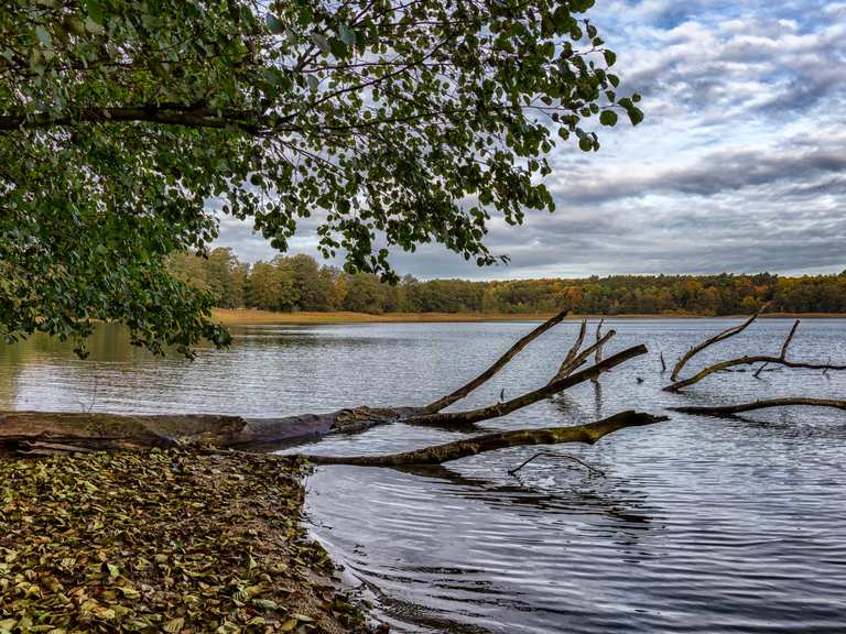 Die 10 schönsten Wanderungen rund um Seddiner See | Komoot
