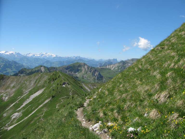 Top 10 Hikes and Walks around Seftigen | Komoot