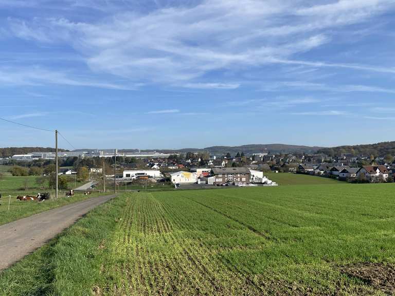 Die 10 schönsten Wanderungen rund um Selters (Westerwald) | Komoot