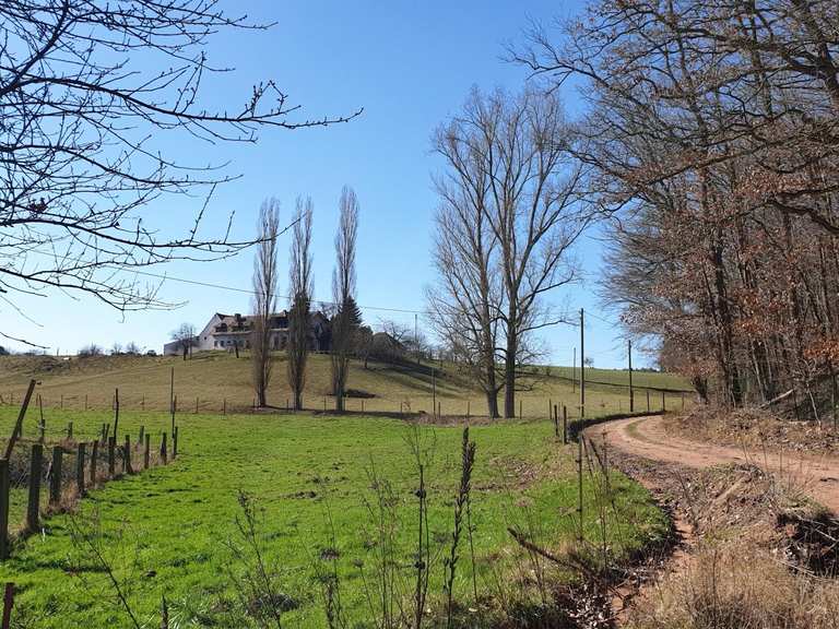 Top 10 Hikes and Walks around Sembach | Komoot