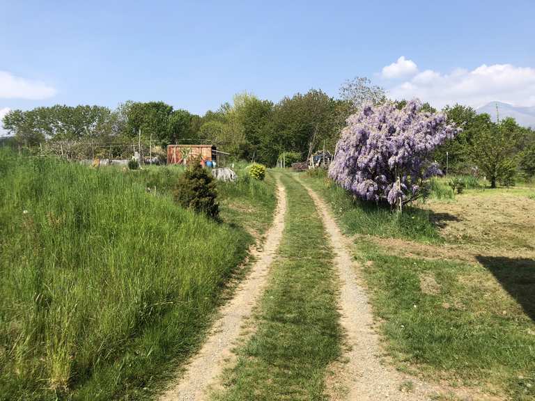 Top 7 pistes cyclables autour de Rocca Canavese - idées véloroutes | Komoot