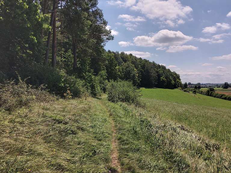 Die 10 schönsten Wanderungen rund um Sontheim an der Brenz | Komoot