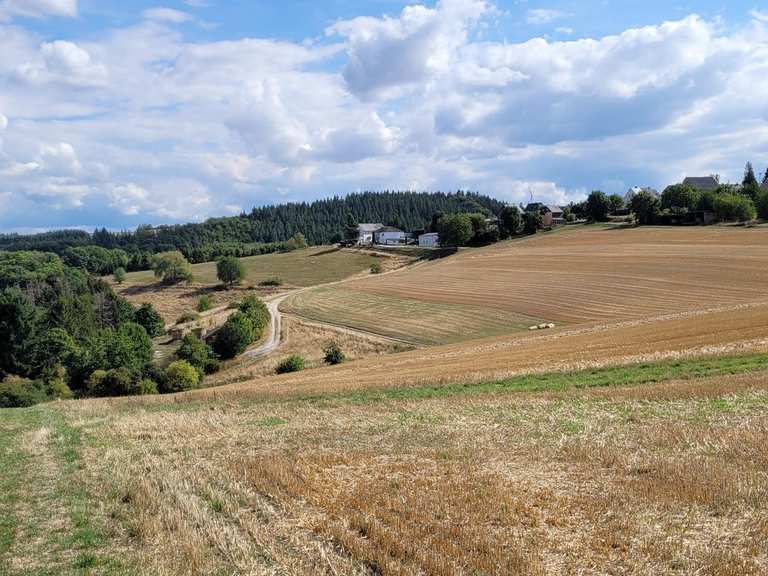 Die 10 schönsten Wanderungen rund um Sosberg | Komoot