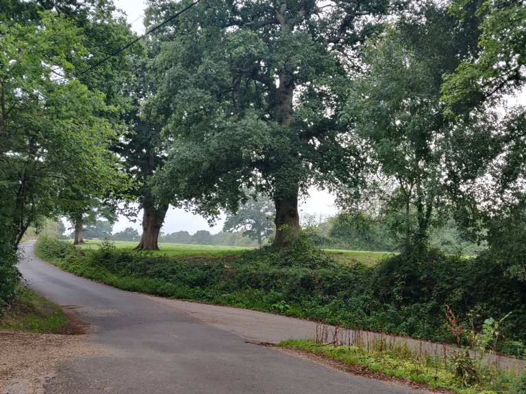 Top 10 Most Beautiful Road Biking Routes around Southampton | Komoot