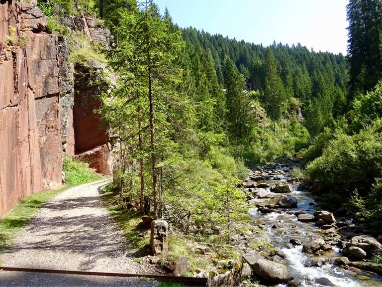 Top 10 Most Beautiful MTB Trails around Predazzo | Komoot