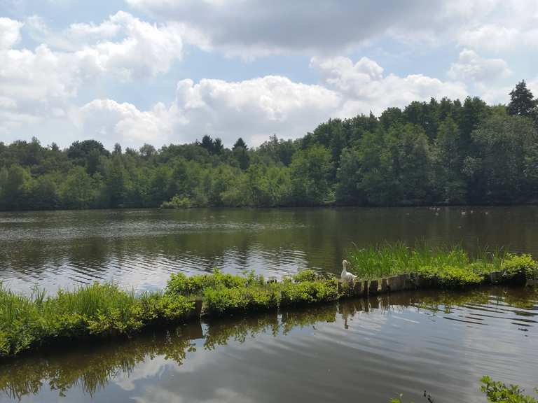 Die 10 schönsten Fahrradtouren rund um Wegberg | Komoot